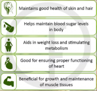 Biotin Benefits for Skin – Care, How it Helps Acne, Cancer and Deficiency